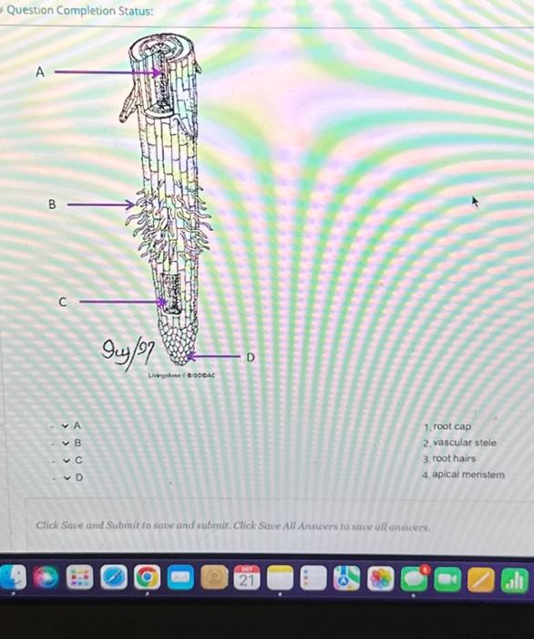 Question Completion Status: Click Saie and Submit to | Chegg.com