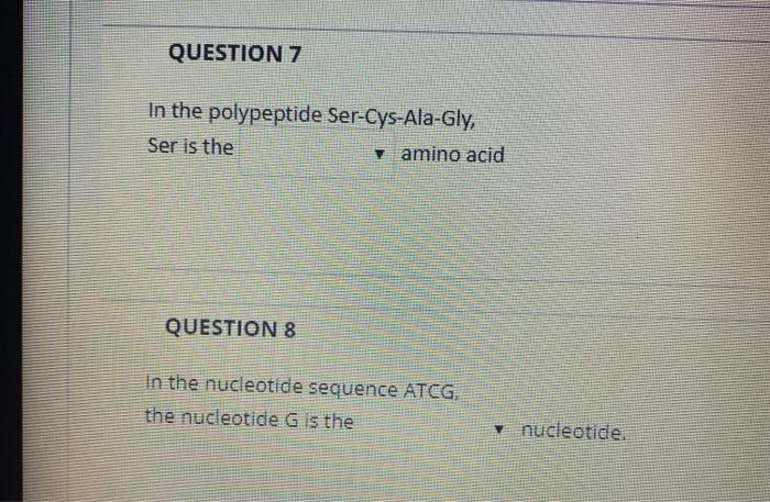 Solved QUESTION 7 In the polypeptide Ser-Cys-Ala-Gly, Ser is | Chegg.com