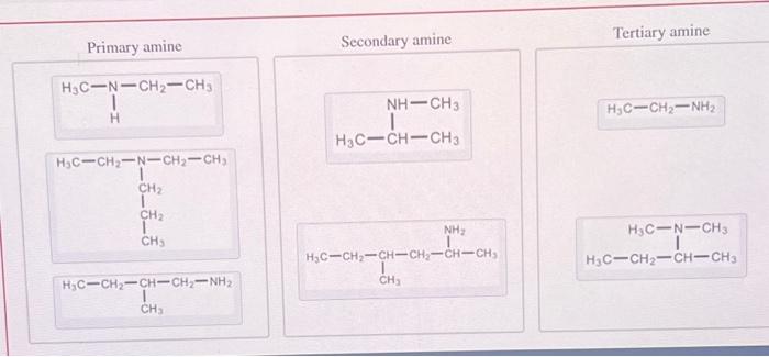 Solved Primary amine Secondary amine Tertiary amine | Chegg.com