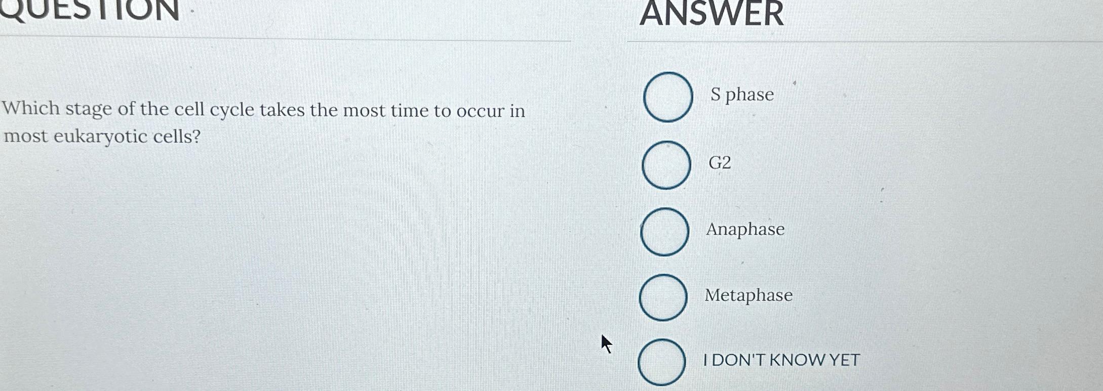 Solved ANSWERWhich stage of the cell cycle takes the most | Chegg.com