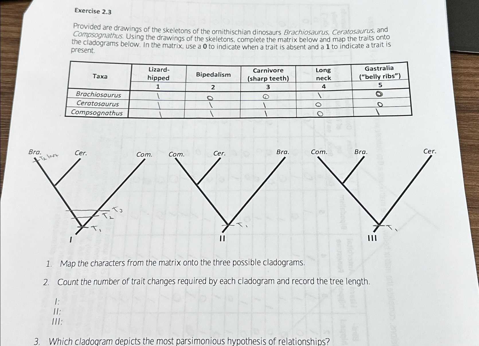 Solved Exercise 2.3Provided are drawings of the skeletons of | Chegg.com