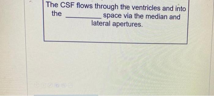 Solved 1 The CSF flows through the ventricles and into the | Chegg.com