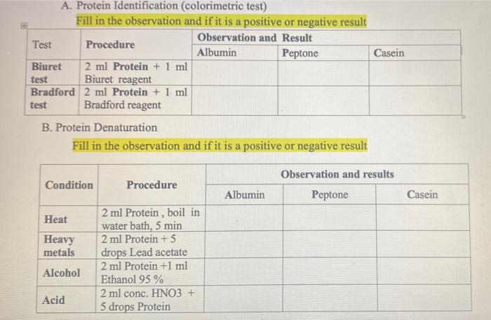 Solved A. Protein Identification (colorimetric test) Fill in | Chegg.com