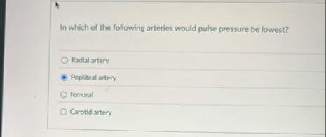 Solved In which of the following arteries would pulse | Chegg.com