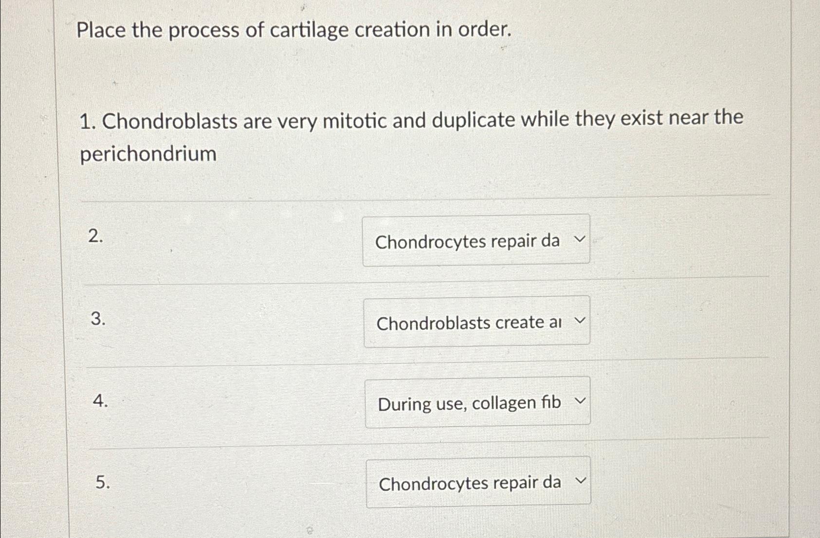 Solved Place the process of cartilage creation in | Chegg.com