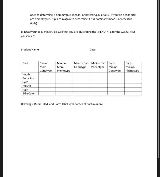 Solved Minion Genetics Lab You will need a coin, colored | Chegg.com