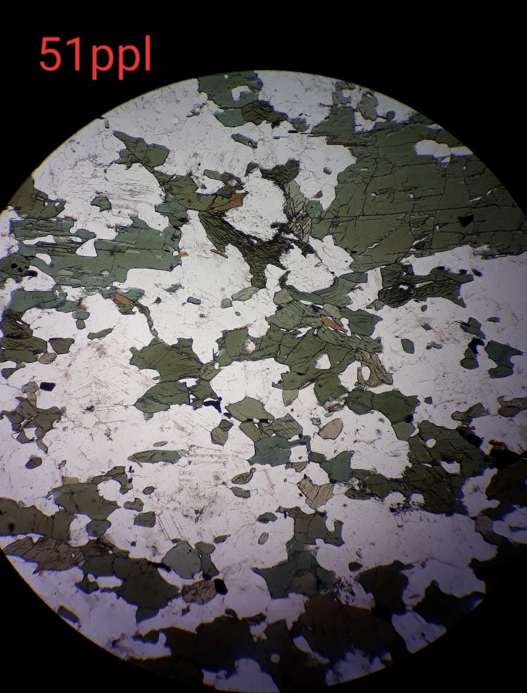 Solved every thin section is captured in plain and cross | Chegg.com