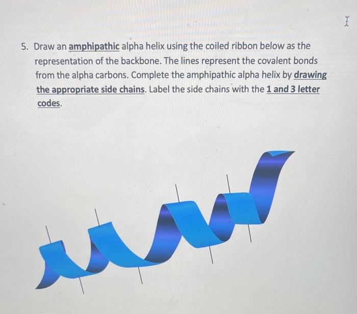 Solved 5. Draw an amphipathic alpha helix using the coiled | Chegg.com