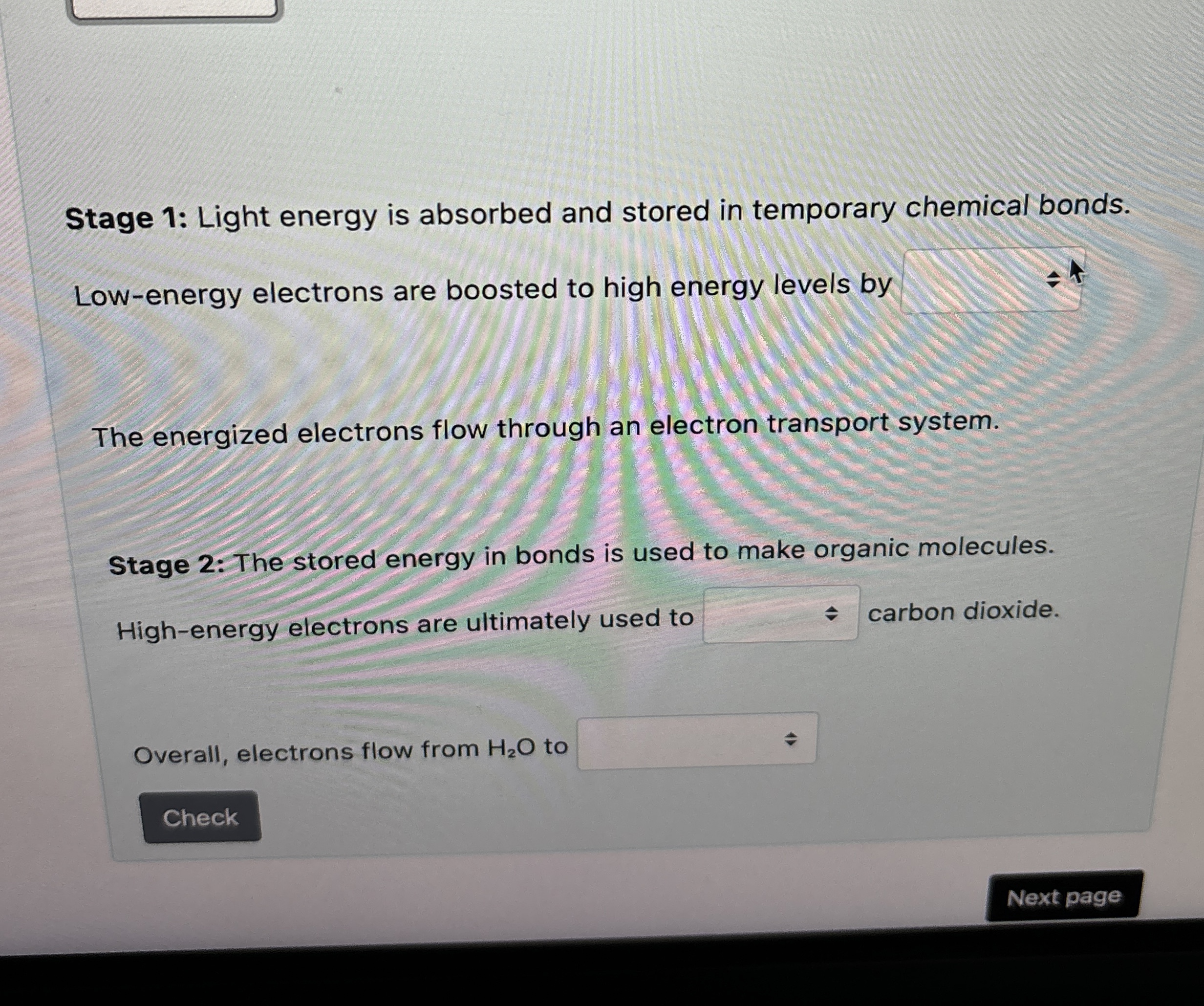 Solved Stage 1: Light energy is absorbed and stored in | Chegg.com