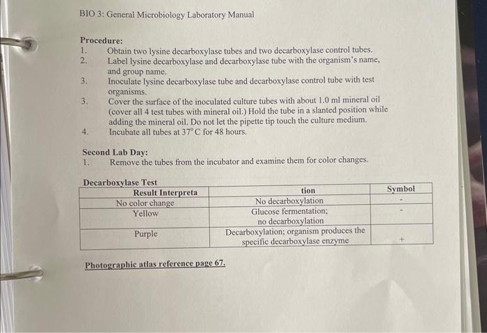 Solved Laboratory Exercise 14: Enzyme Tests A. Catalase Test | Chegg.com