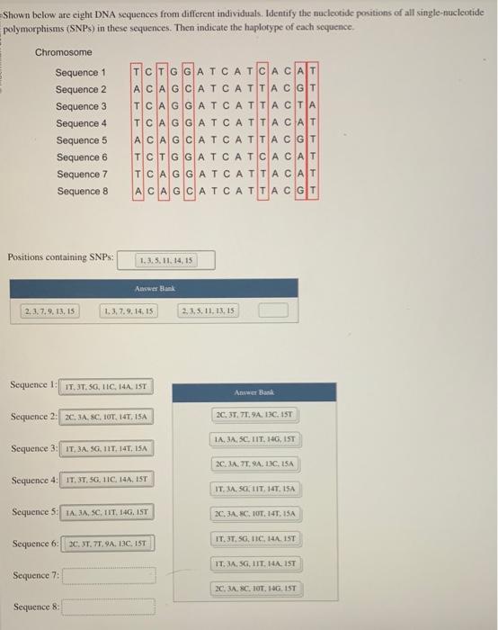 Shown below are cight DNA sequences from different | Chegg.com