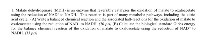 Solved Malate dehydrogenase (MDH) is an enzyme that | Chegg.com