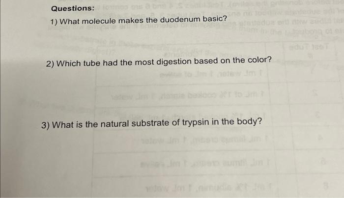 Solved Questions: 1) What molecule makes the duodenum basic? | Chegg.com