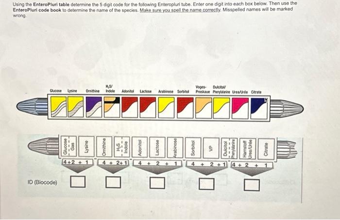Using the EnteroPluri table determine the 5 digit | Chegg.com