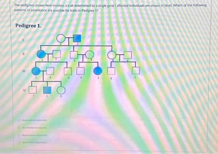 Solved The pedigrees shown here involves a trait determined | Chegg.com