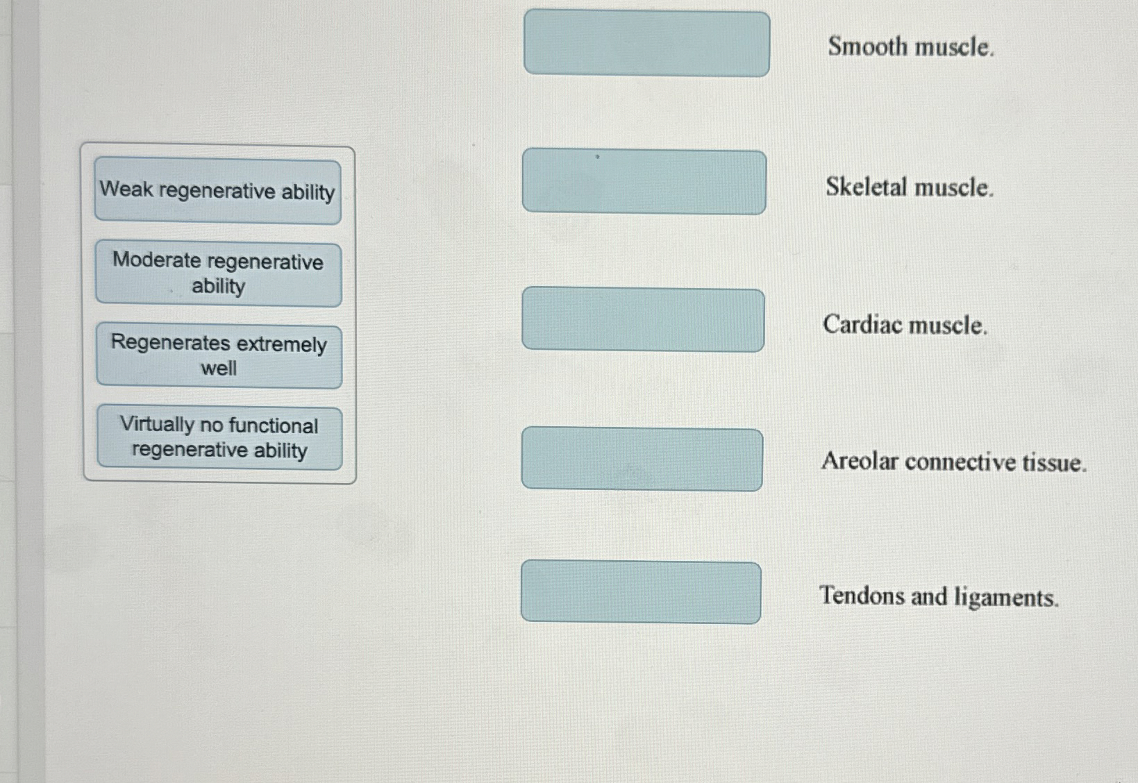 Solved Smooth muscle.Weak regenerative abilitySkeletal | Chegg.com