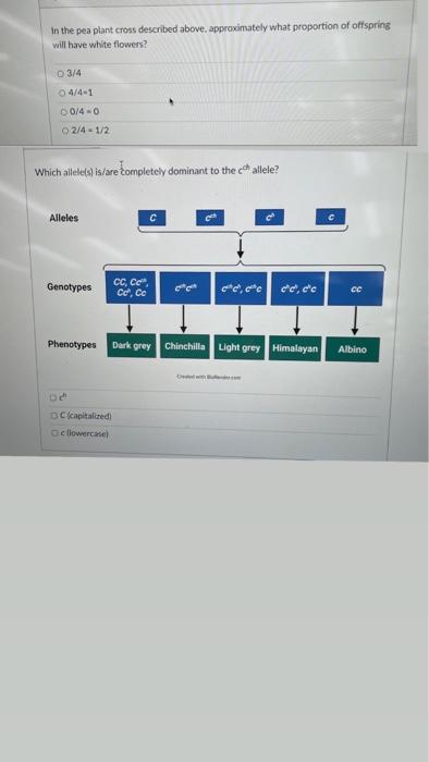 Solved In the pea plant cross described above, approximately | Chegg.com