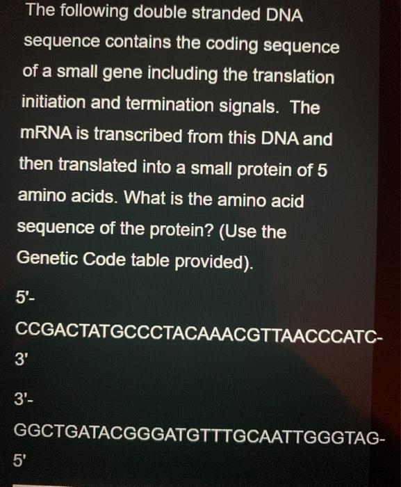 Solved The following double stranded DNA sequence contains | Chegg.com