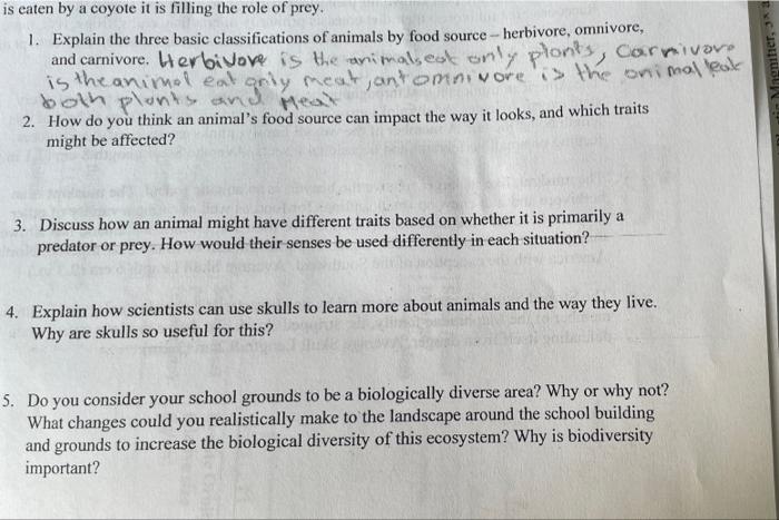 Solved 1. Explain the three basic classifications of animals | Chegg.com