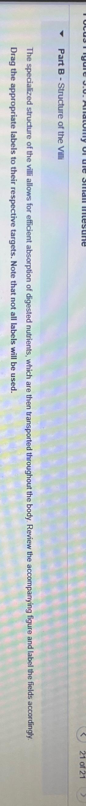 Solved Part B - ﻿Structure of the VilliThe specialized | Chegg.com