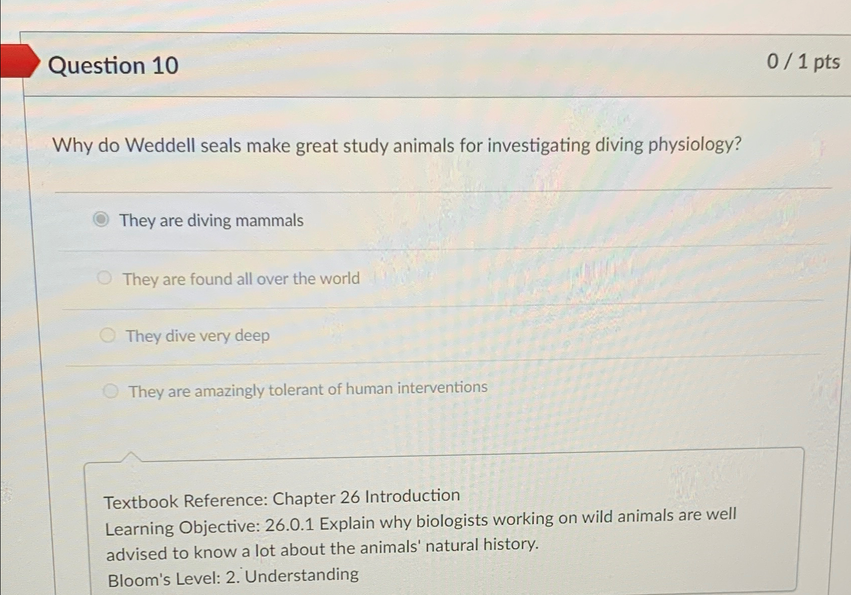 Solved Question 1001 ﻿ptsWhy do Weddell seals make great | Chegg.com