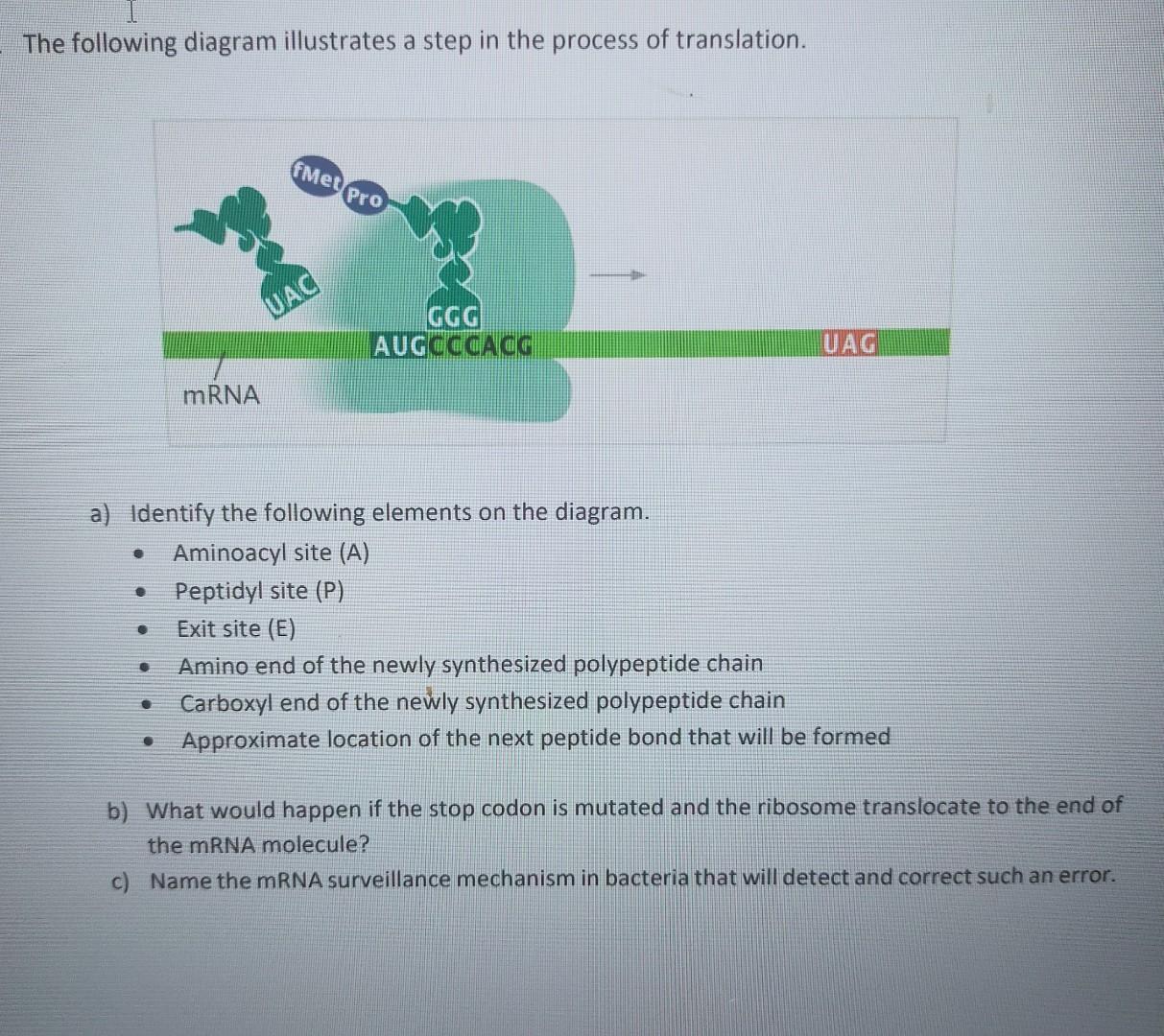 Solved The following diagram illustrates a step in the | Chegg.com