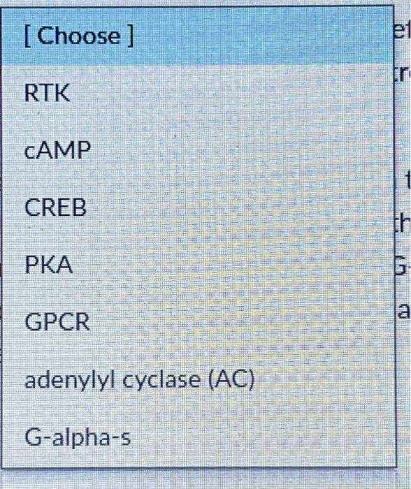 Solved In a common cell signaling pathway initiated by | Chegg.com