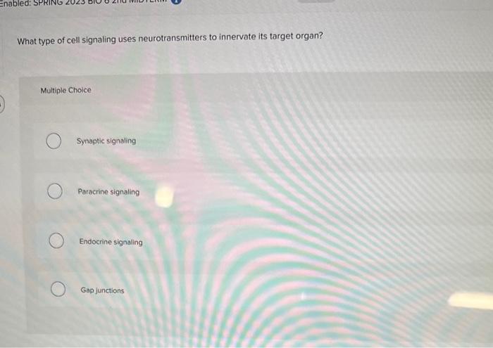 Solved What type of cell signaling uses neurotransmitters to | Chegg.com