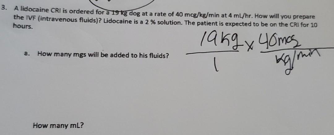 3. A lidocaine CRI is ordered for a 19 kg dog at a | Chegg.com