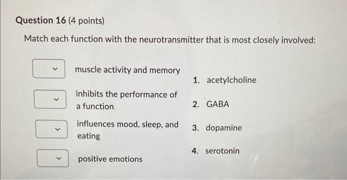 Solved Match each function with the neurotransmitter that is | Chegg.com