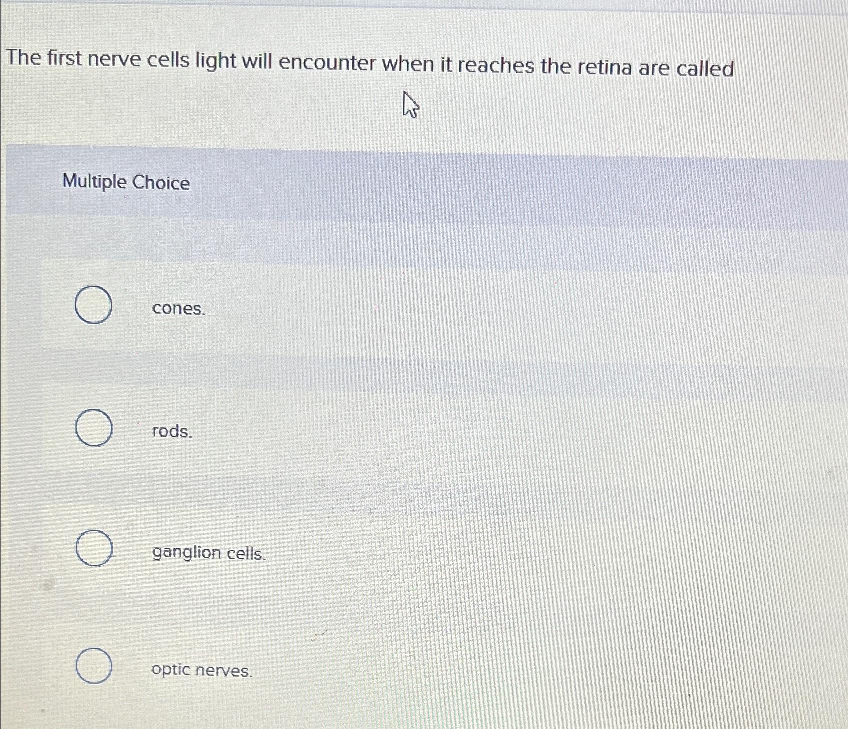 Solved The first nerve cells light will encounter when it | Chegg.com