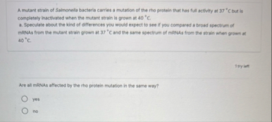 Solved A muant strain of Samonela bacteria carries a | Chegg.com