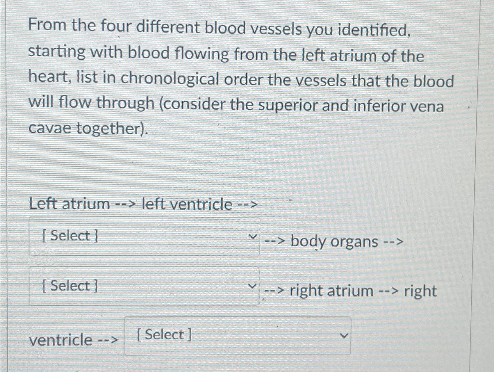 Solved From the four different blood vessels you identified, | Chegg.com