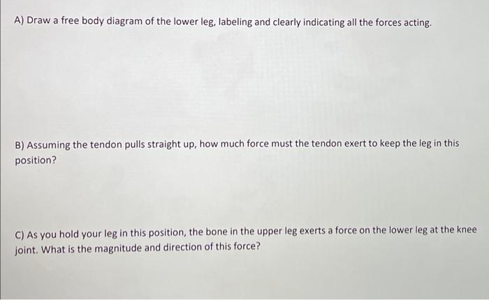 Solved 5. If you stand on one foot while holding your other | Chegg.com