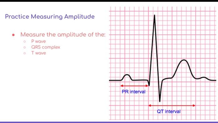Solved Practice Measuring Amplitude Measure the amplitude of | Chegg.com