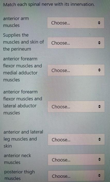 Solved Match each spinal nerve with its innervation. | Chegg.com