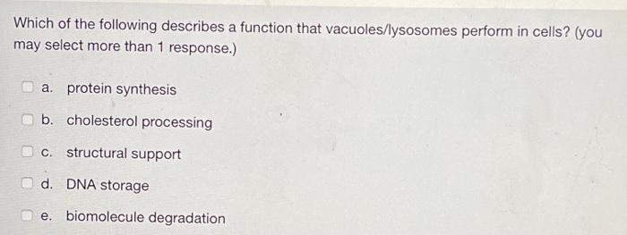 Solved Which of the following describes a function that | Chegg.com