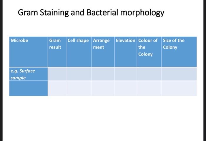 Solved Gram Staining and Bacterial morphology Microbe Gram | Chegg.com