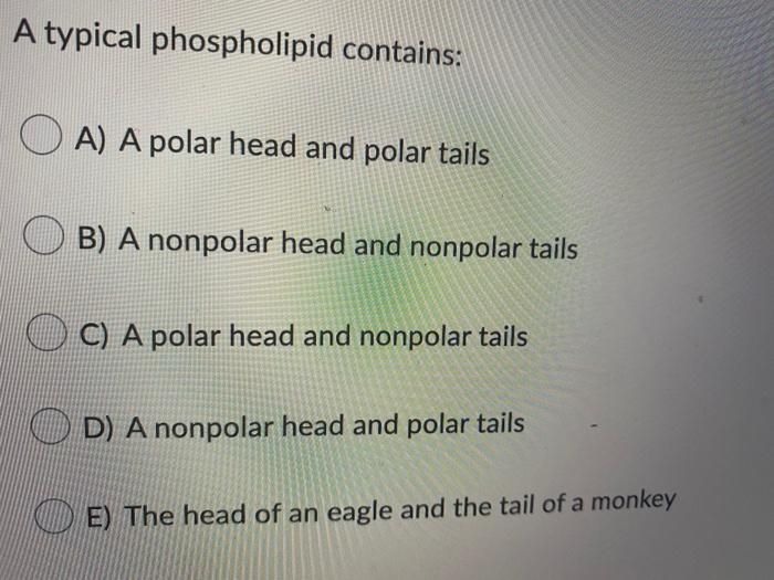 Solved A typical phospholipid contains: O A) A polar head | Chegg.com