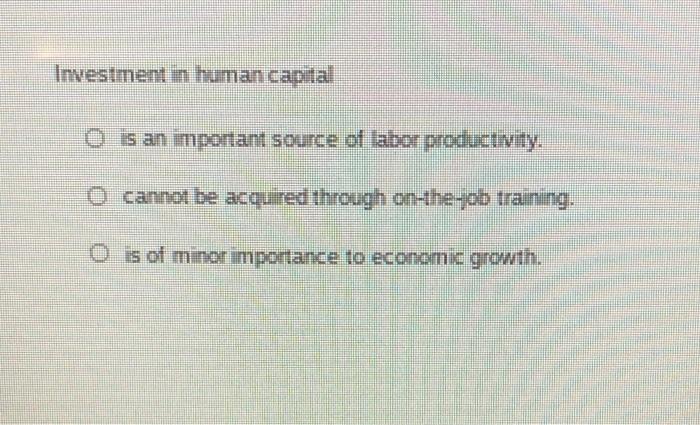 Solved Investment in human capital O is an important source | Chegg.com