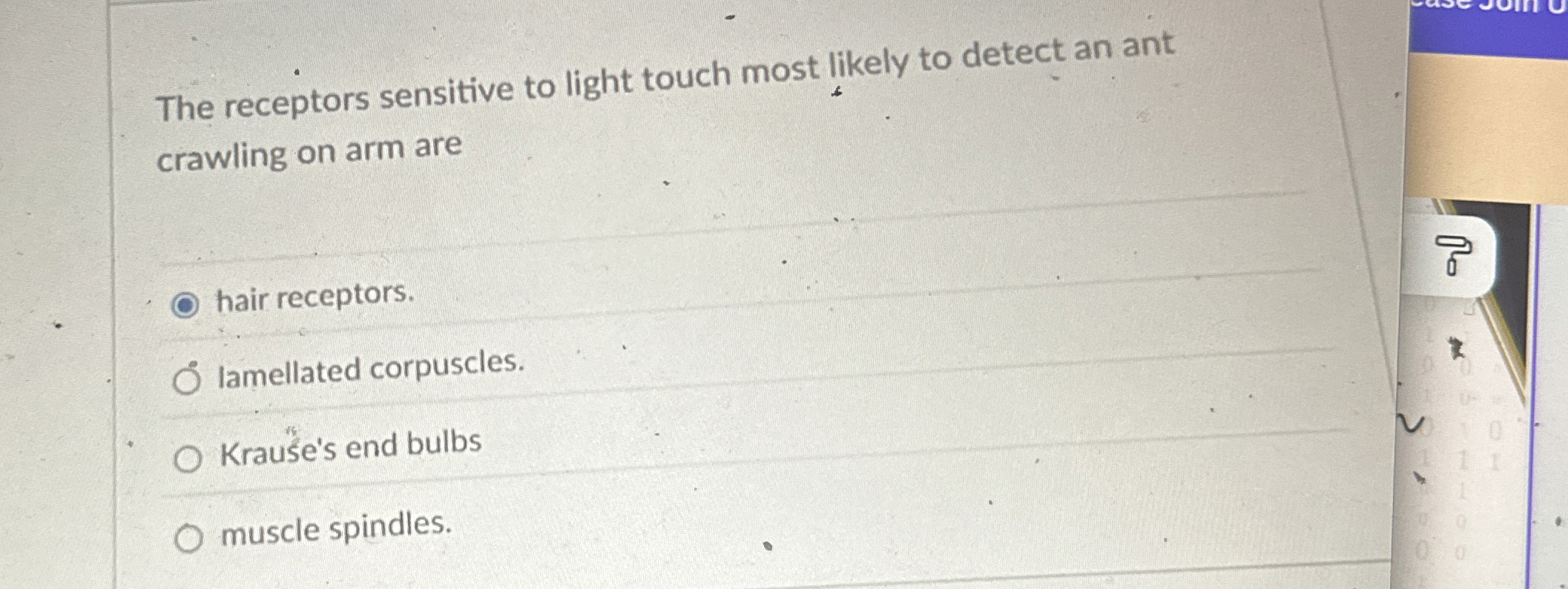 Solved The receptors sensitive to light touch most likely to | Chegg.com