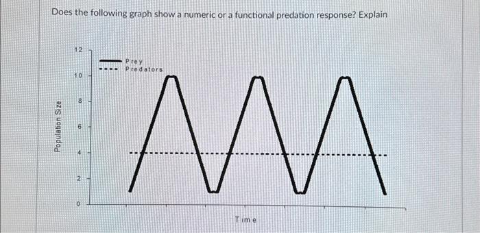 Solved Does The Following Graph Show A Numeric Or A 