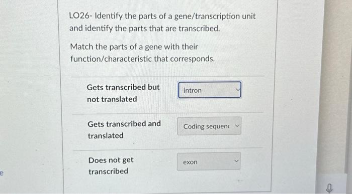 Solved LO26- Identify the parts of a gene/transcription unit | Chegg.com