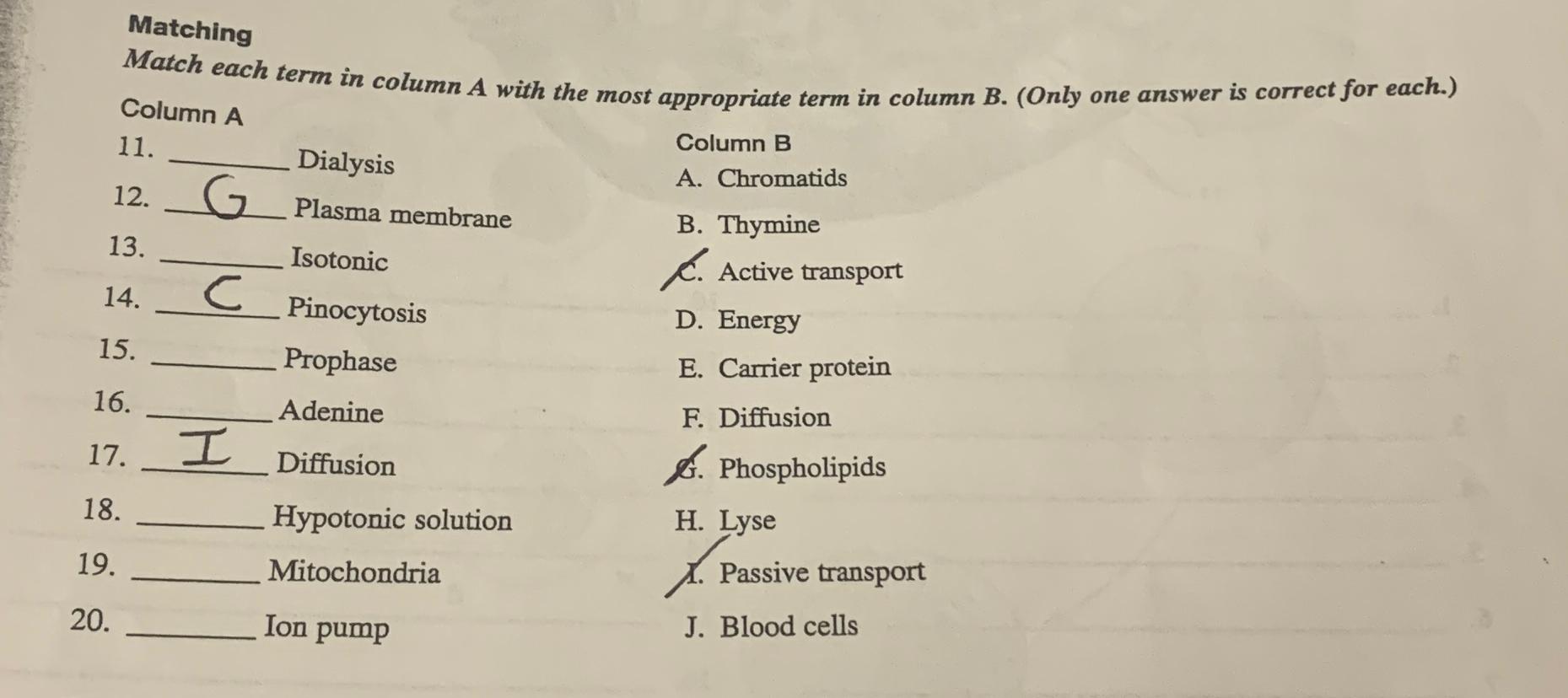 Solved MatchingMatch each term in column A with the most | Chegg.com