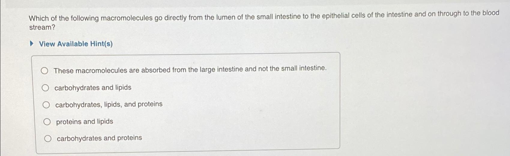 Solved Which of the following macromolecules go directly | Chegg.com