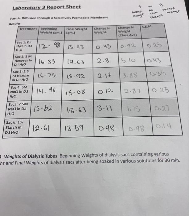 Solved Laboratory 3 Report Sheet Part A. Diffusion through a | Chegg.com