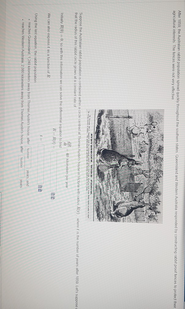 Solved After 1859, the Australian rabbit population spread | Chegg.com