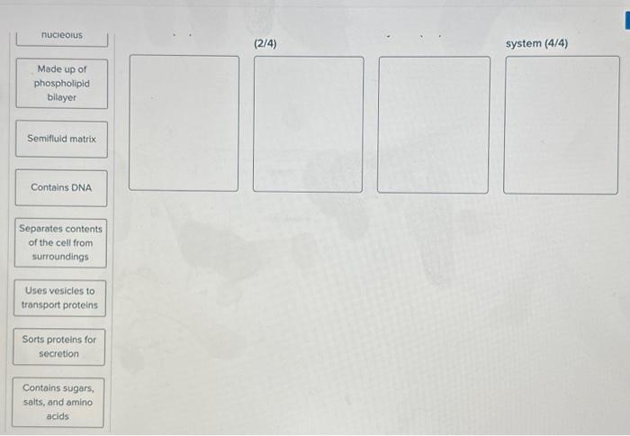 Solved For each characteristic, identify the cellular | Chegg.com