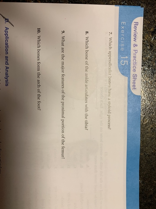 Solved Review&Practice Sheet Exercise 15 7. Which | Chegg.com