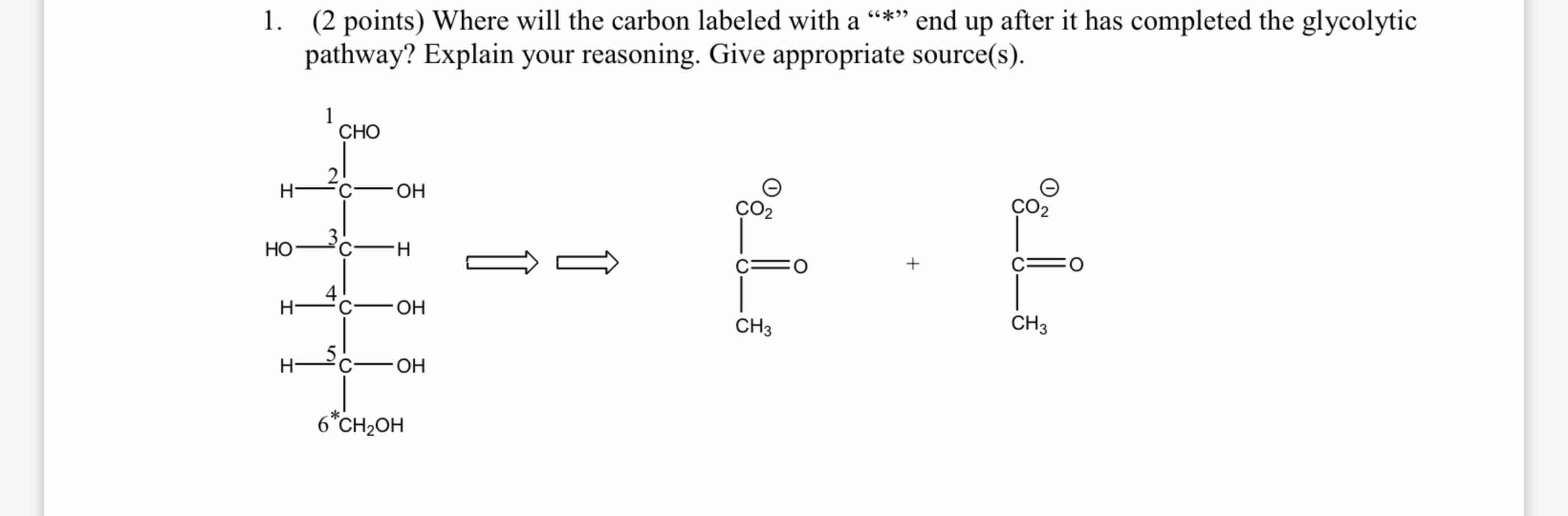 Solved 1. ﻿Where will the carbon labeled with a "*" ﻿end up | Chegg.com